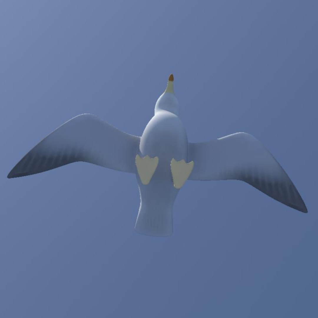 Seagull Sea Gull 3d Dxf