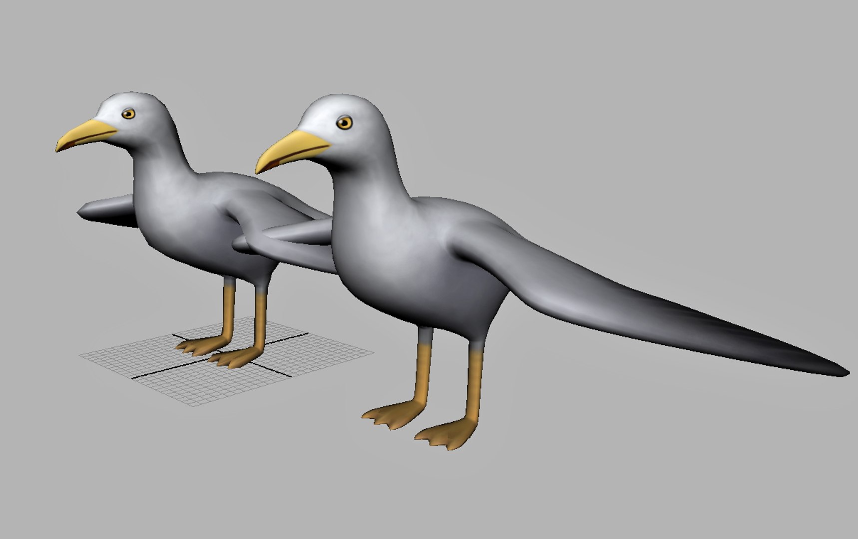 Seagull Sea Gull 3d Dxf