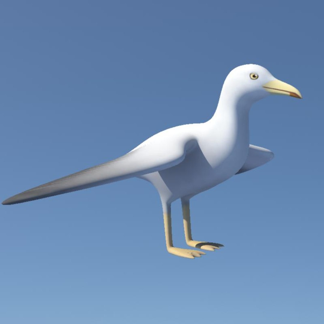 Seagull Sea Gull 3d Dxf