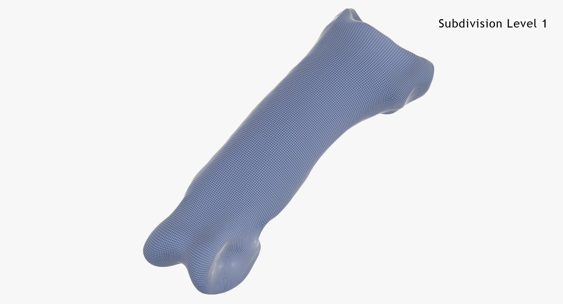 Domestic Cat Proximal Phalanx Bone 01 3D Model - TurboSquid 1847910