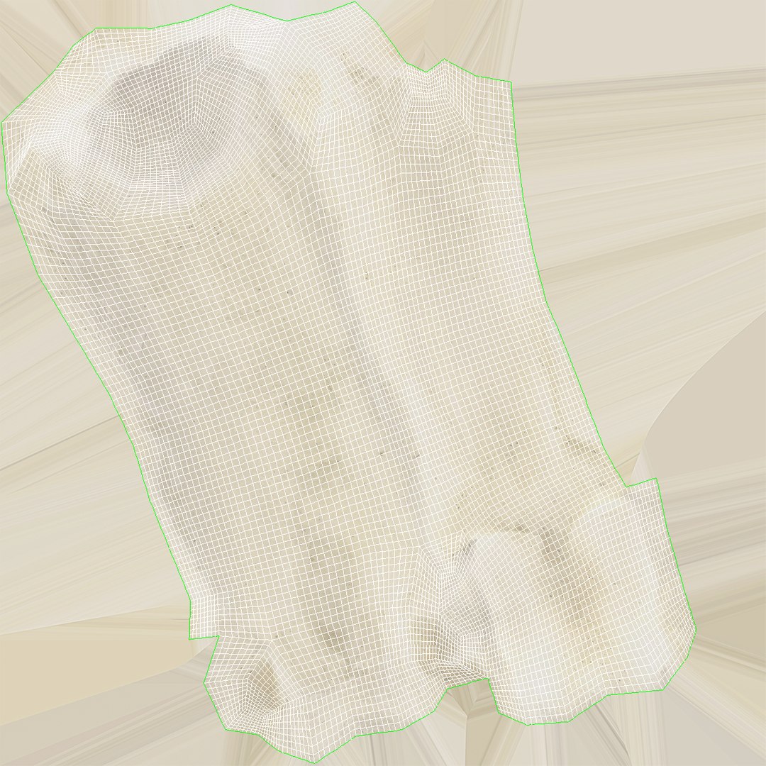 Domestic Cat Proximal Phalanx Bone 01 3D Model - TurboSquid 1847910