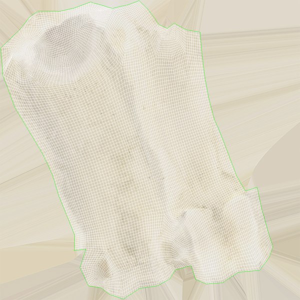 Domestic Cat Proximal Phalanx Bone 01 3D model - TurboSquid 1847910