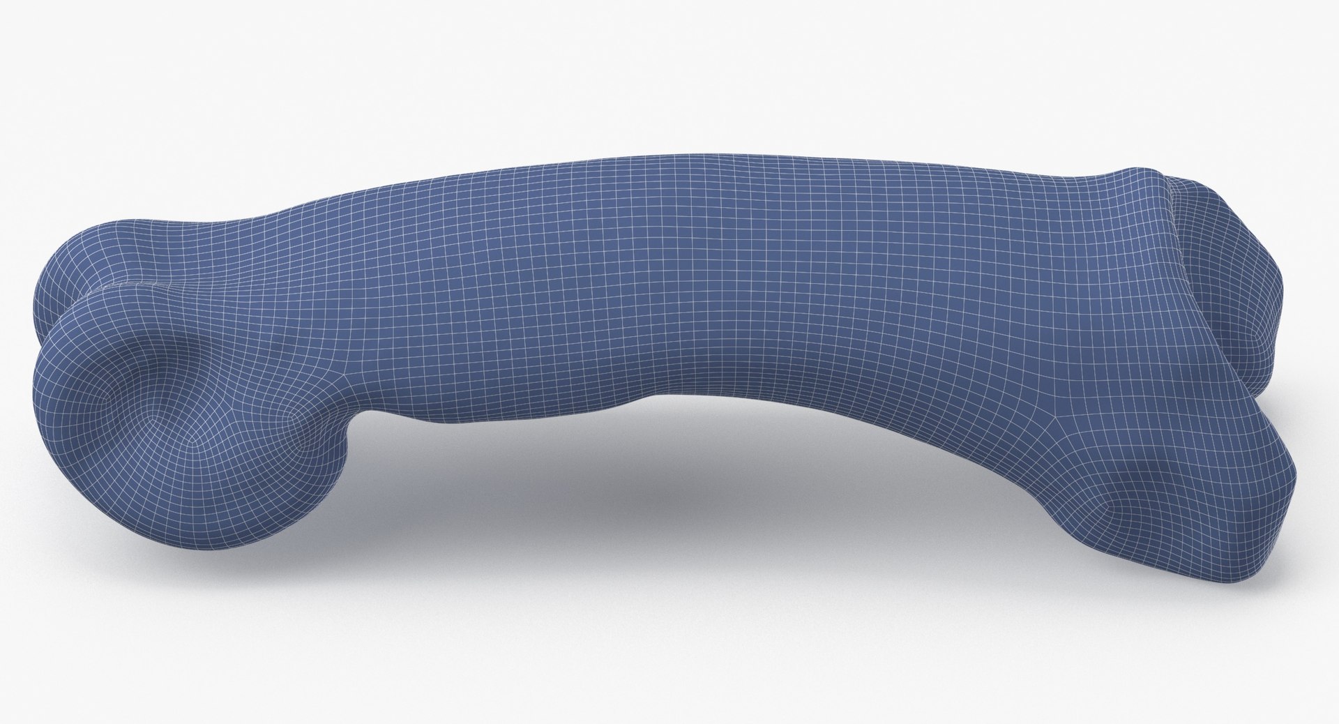 Domestic Cat Proximal Phalanx Bone 01 3D Model - TurboSquid 1847910