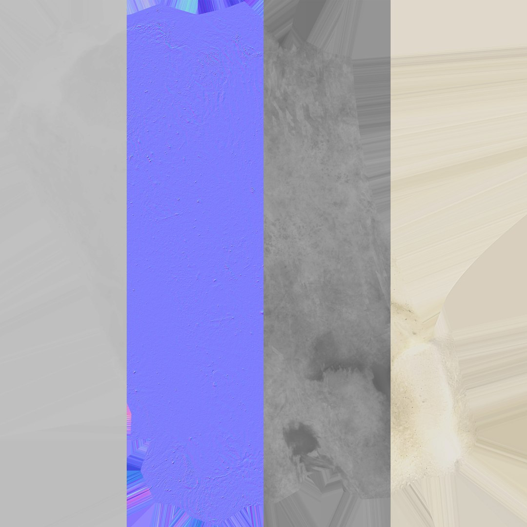 Domestic Cat Proximal Phalanx Bone 01 3D Model - TurboSquid 1847910