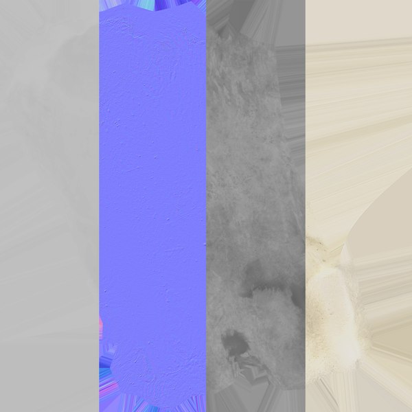 Domestic Cat Proximal Phalanx Bone 01 3D model - TurboSquid 1847910