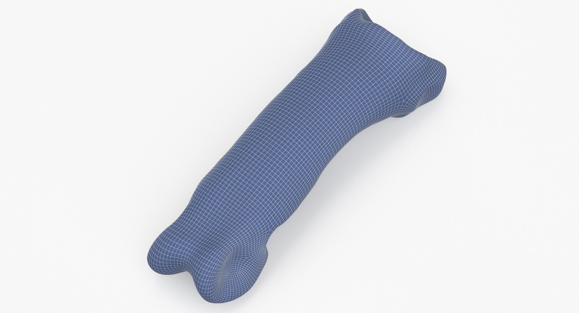 Domestic Cat Proximal Phalanx Bone 01 3D Model - TurboSquid 1847910