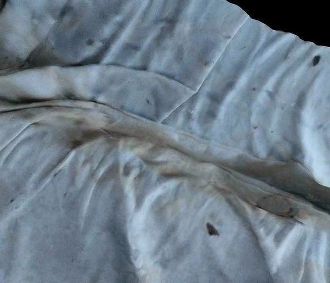 Sheet 3D Model - TurboSquid 1805177