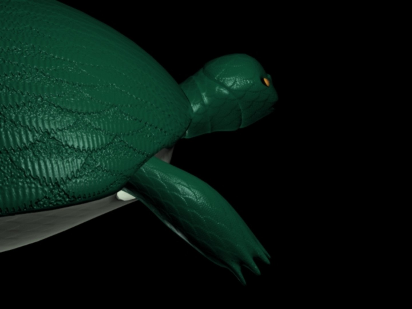 Eastern Box Turtle 3d Model