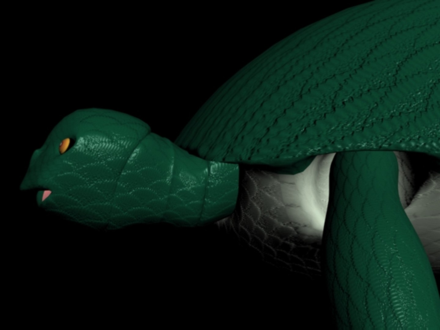 Eastern Box Turtle 3d Model