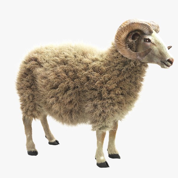 ram realistic fur 3d max