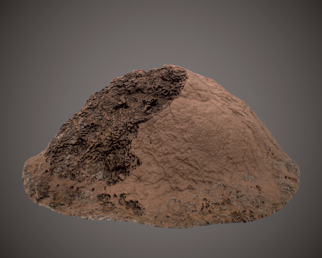 Ant Anthill 3D Model - TurboSquid 1218042