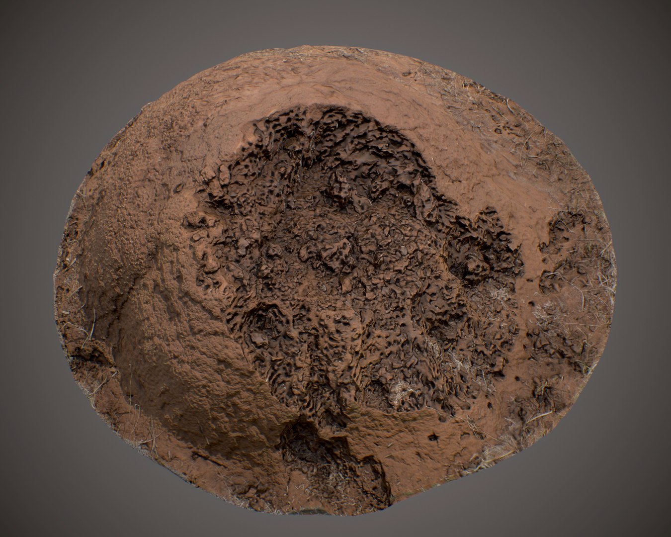 Ant Anthill 3D Model - TurboSquid 1218042