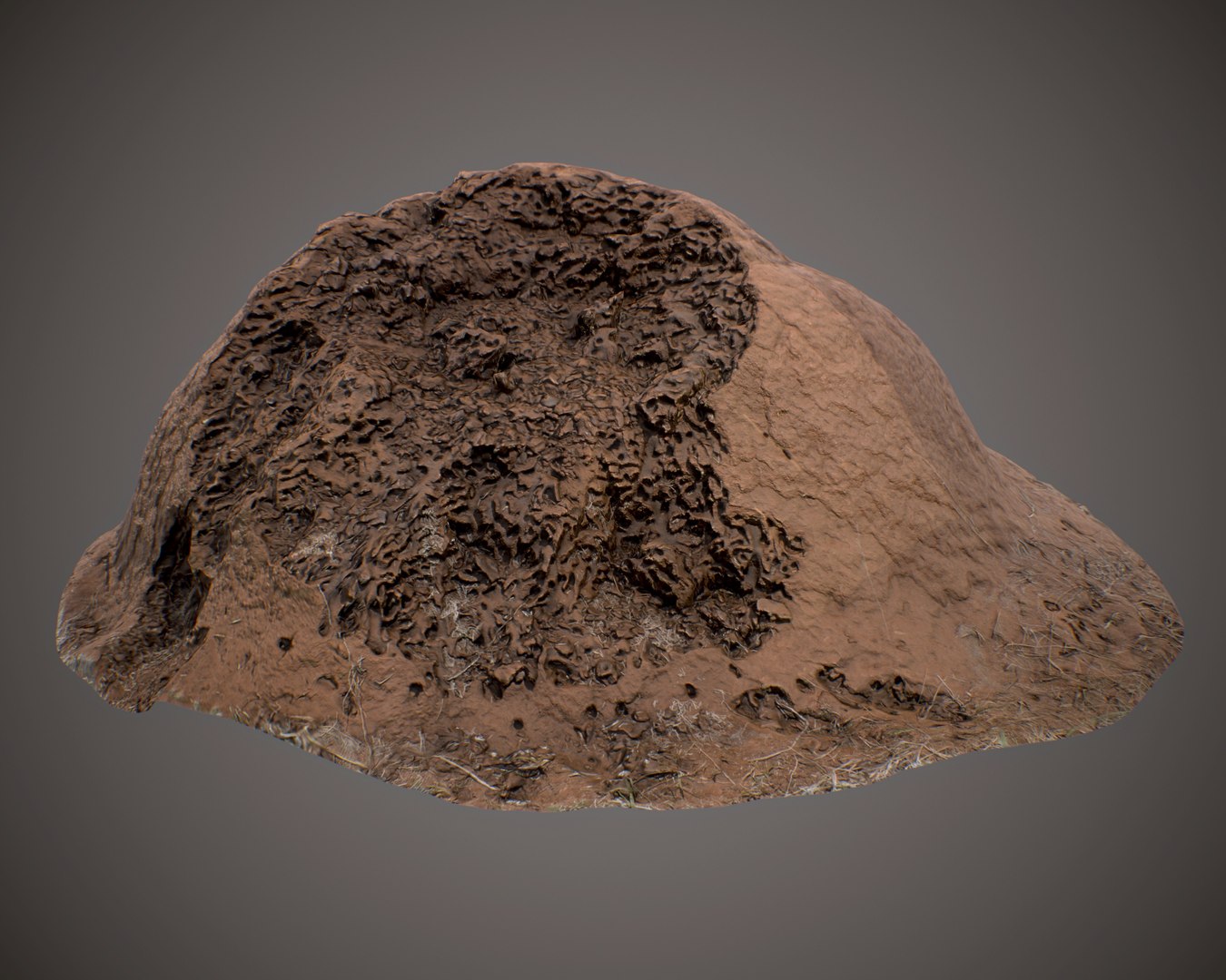 Ant Anthill 3D Model - TurboSquid 1218042