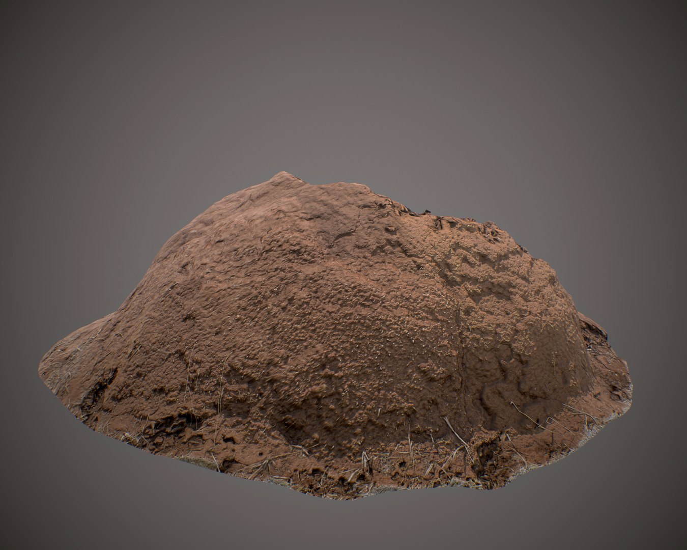 Ant Anthill 3D Model - TurboSquid 1218042