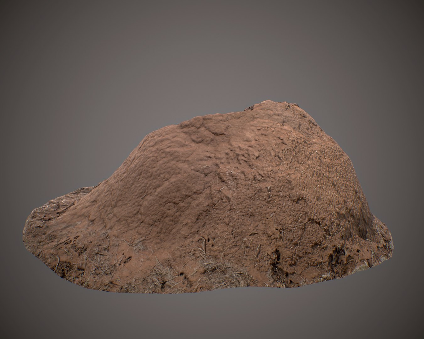 Ant Anthill 3D Model - TurboSquid 1218042