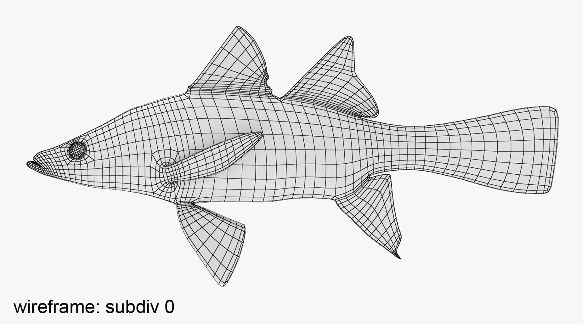 Yellowfin Snook 3d Model