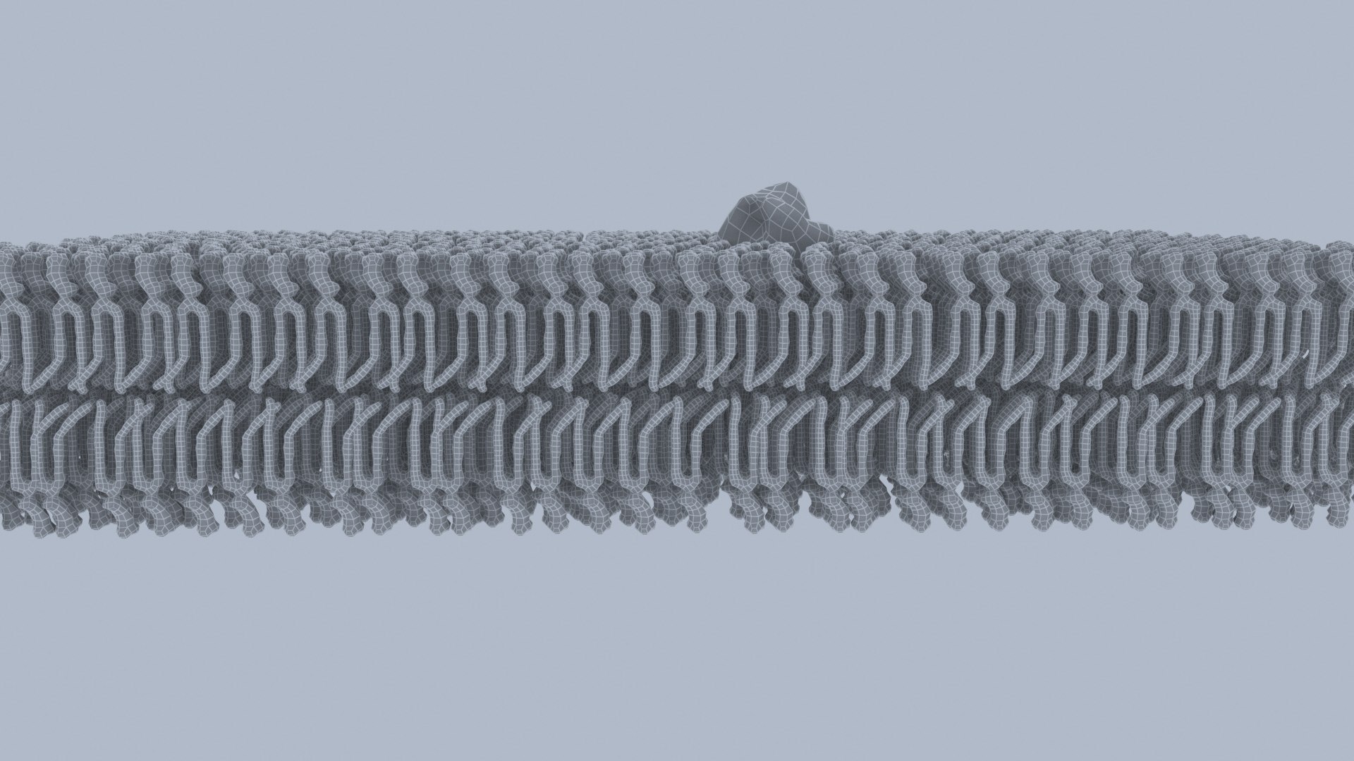 Cell Membrane 3D Model - TurboSquid 1974821