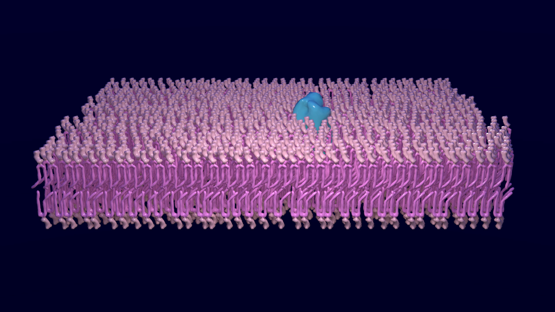 Cell Membrane 3D Model - TurboSquid 1974821