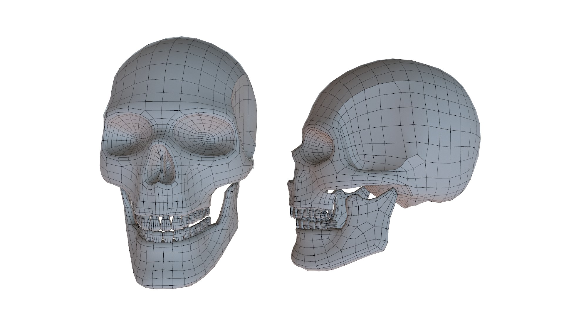 Human Head Skull 3D Model - TurboSquid 1817245