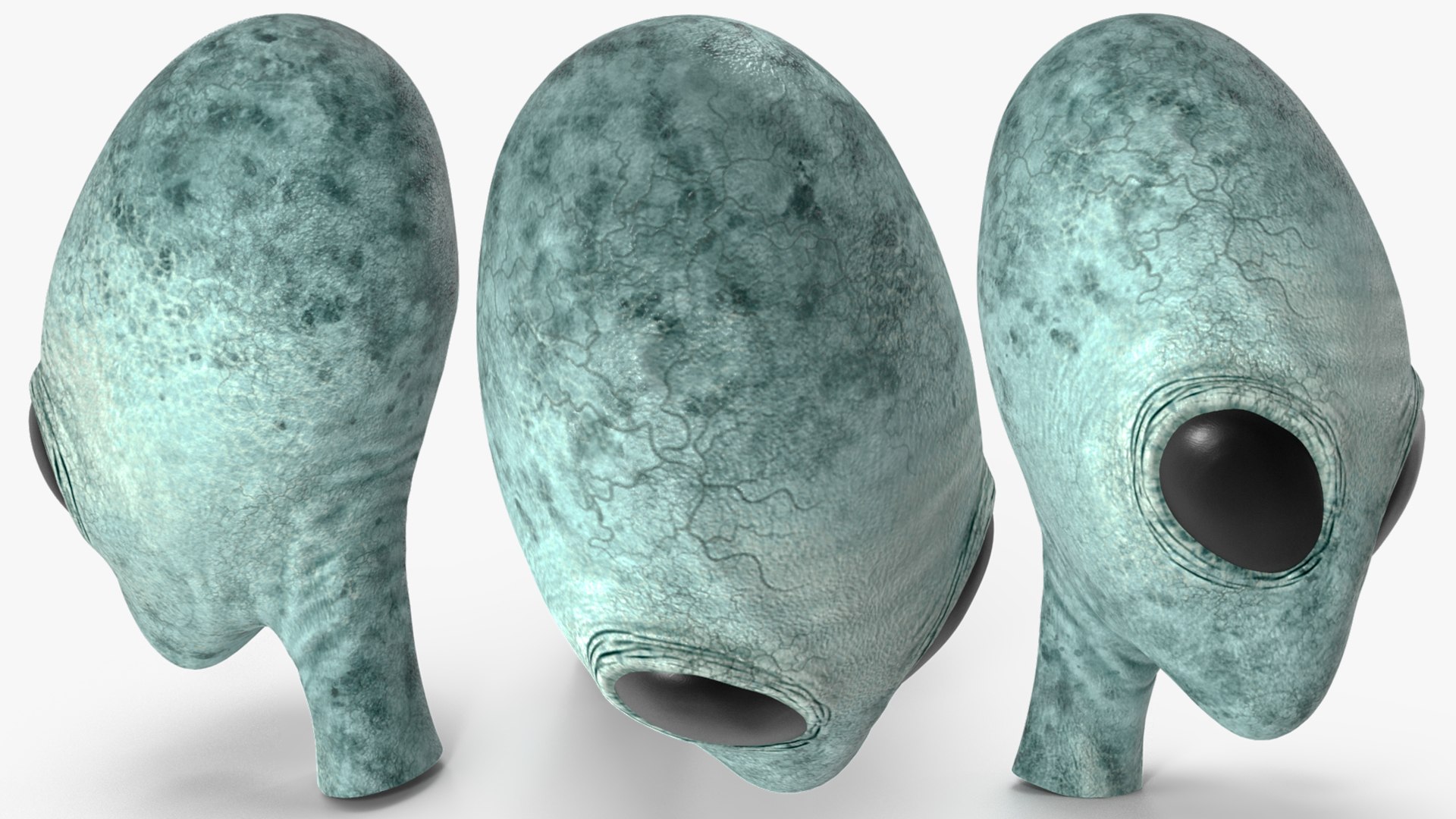 Extraterrestrial alien head 3D model - TurboSquid 1631927