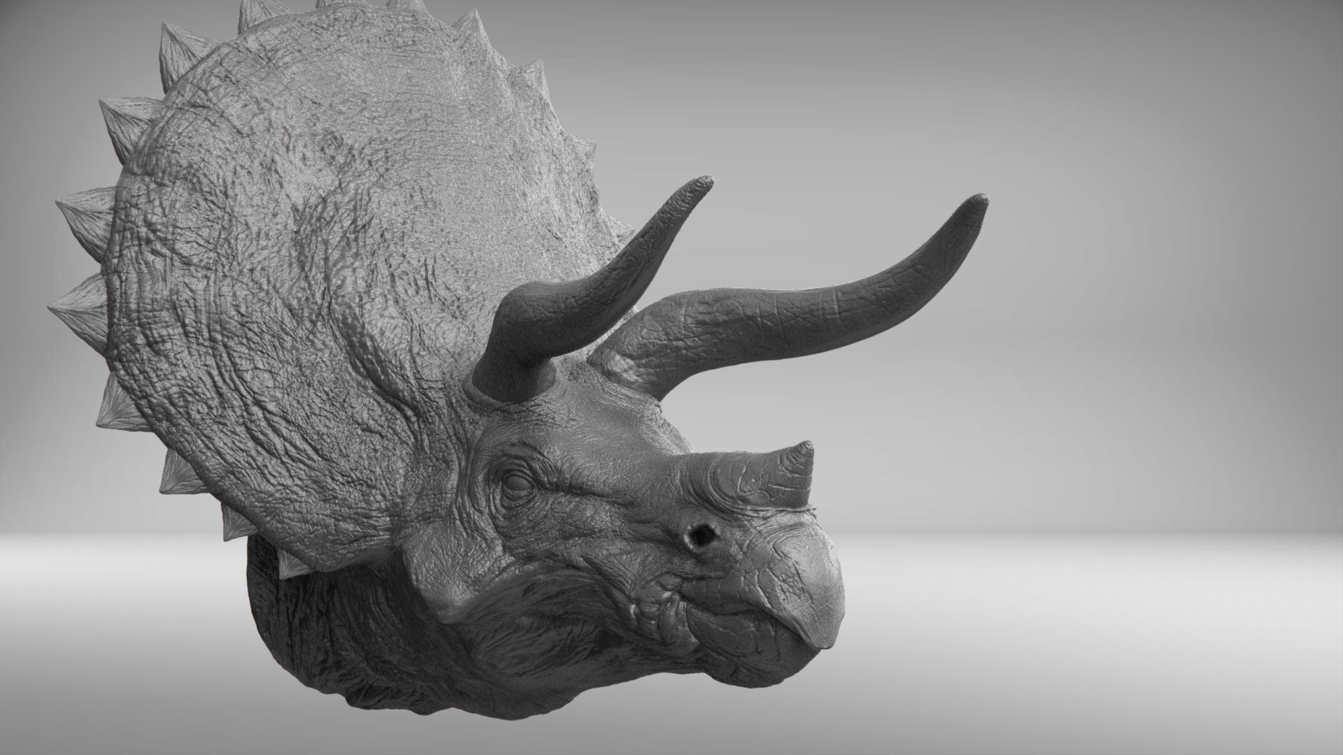 3D Triceratops Head - TurboSquid 1290578