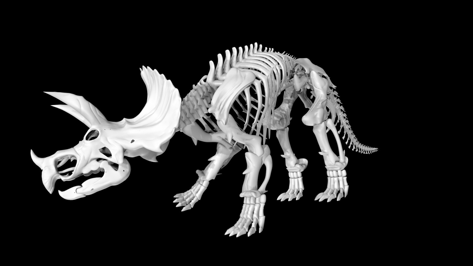3D Rigged Triceratops Skeleton Model - TurboSquid 1878681