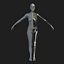 Female Skeleton Skin 3d Obj