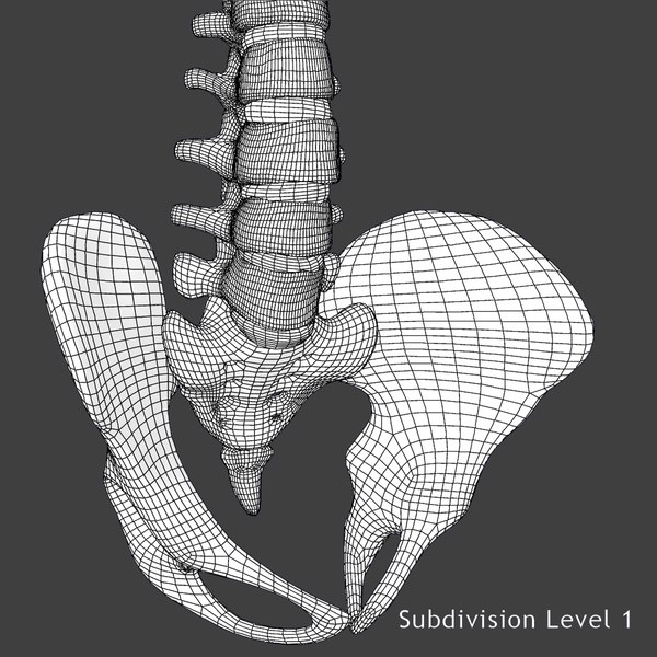 female skeleton skin 3d obj