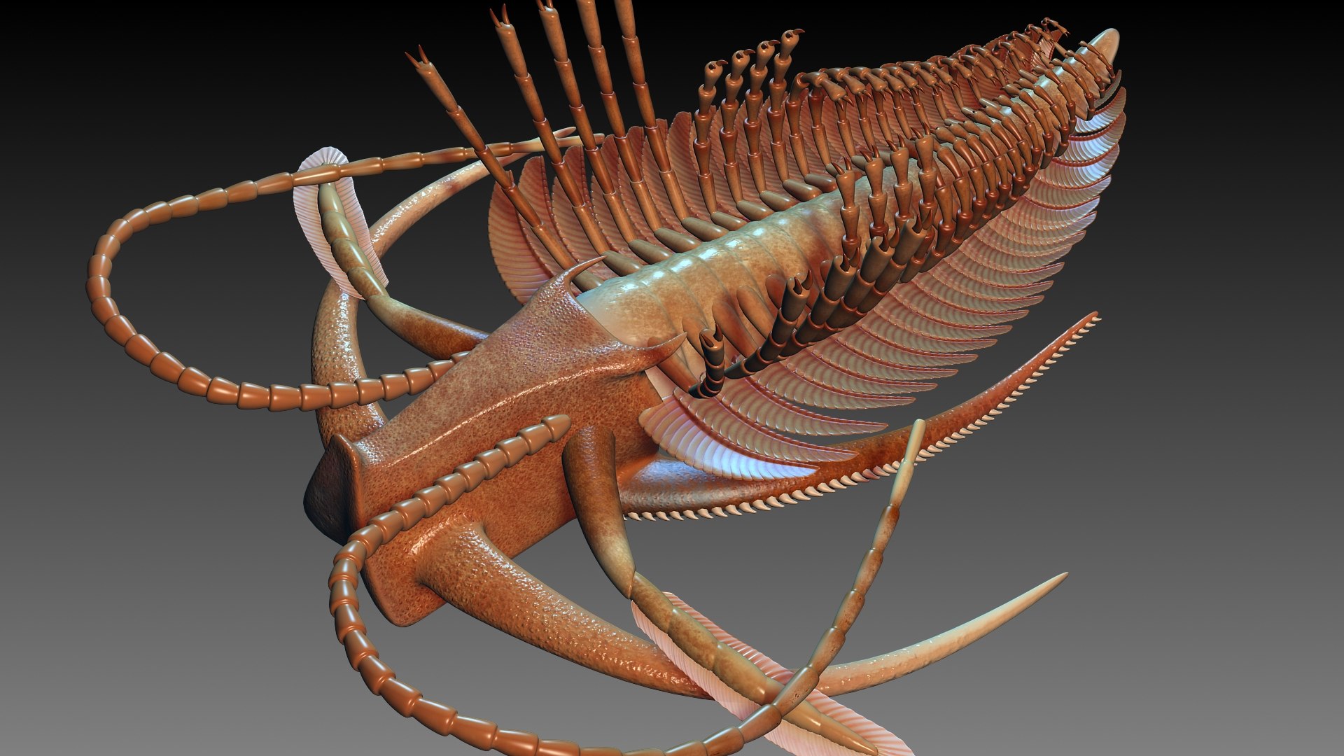 Marrella Splendens 3d Max