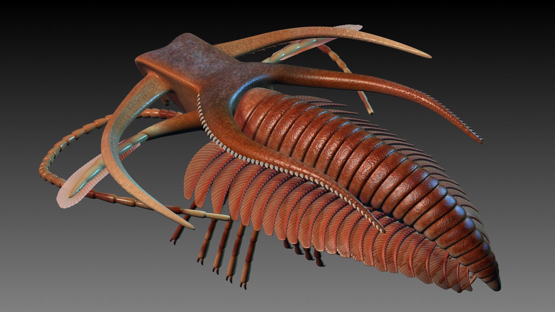 Marrella Splendens 3d Max