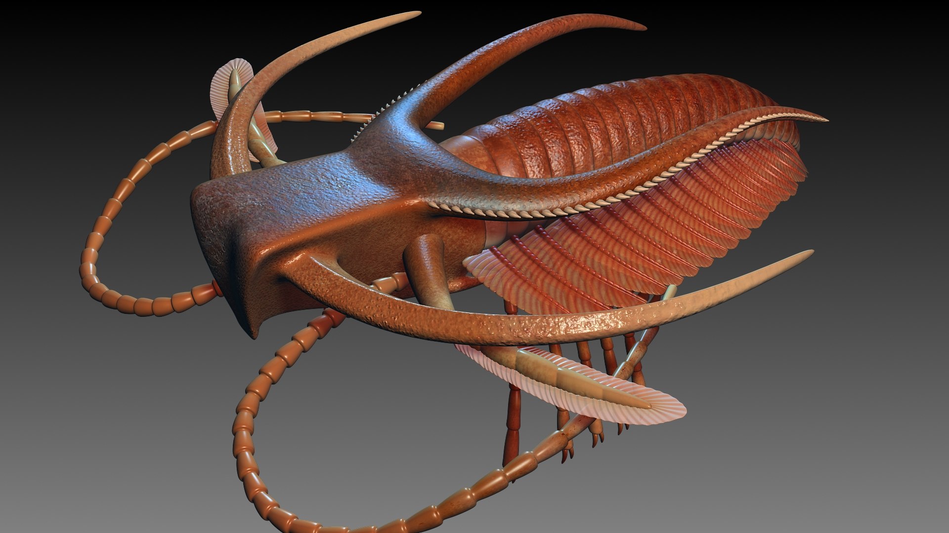 Marrella Splendens 3d Max