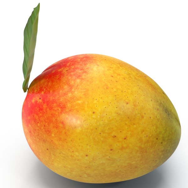 mango 4 3d model
