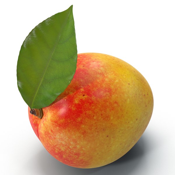 mango 4 3d model