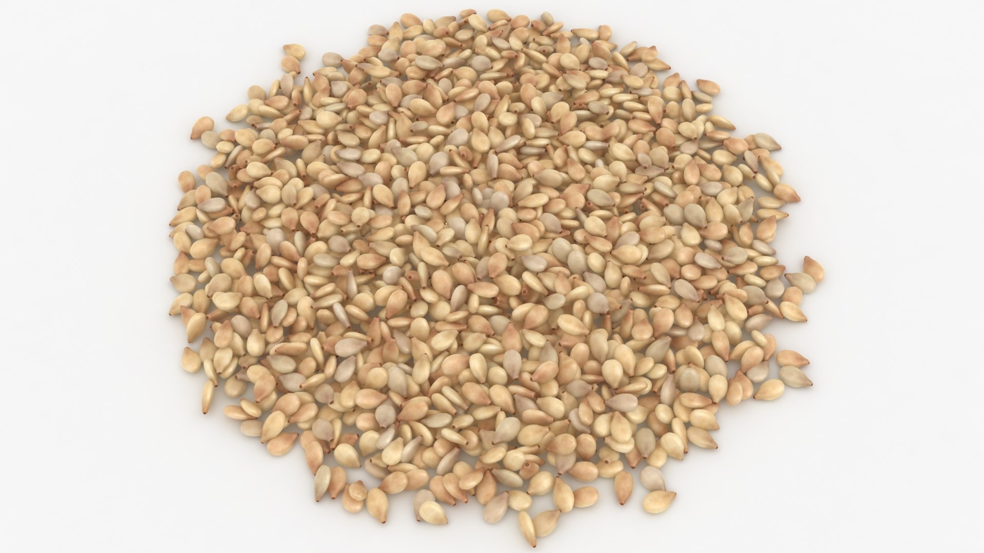 3D Sesame Seeds - TurboSquid 1447352