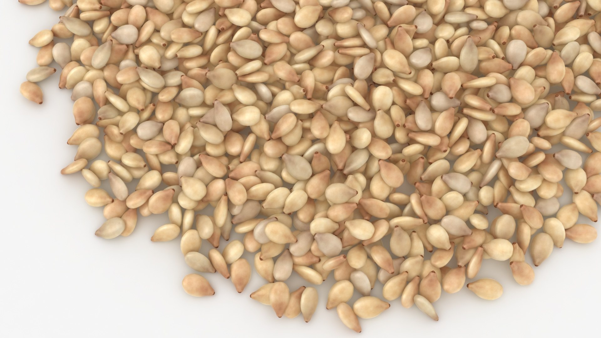 3D Sesame Seeds - TurboSquid 1447352