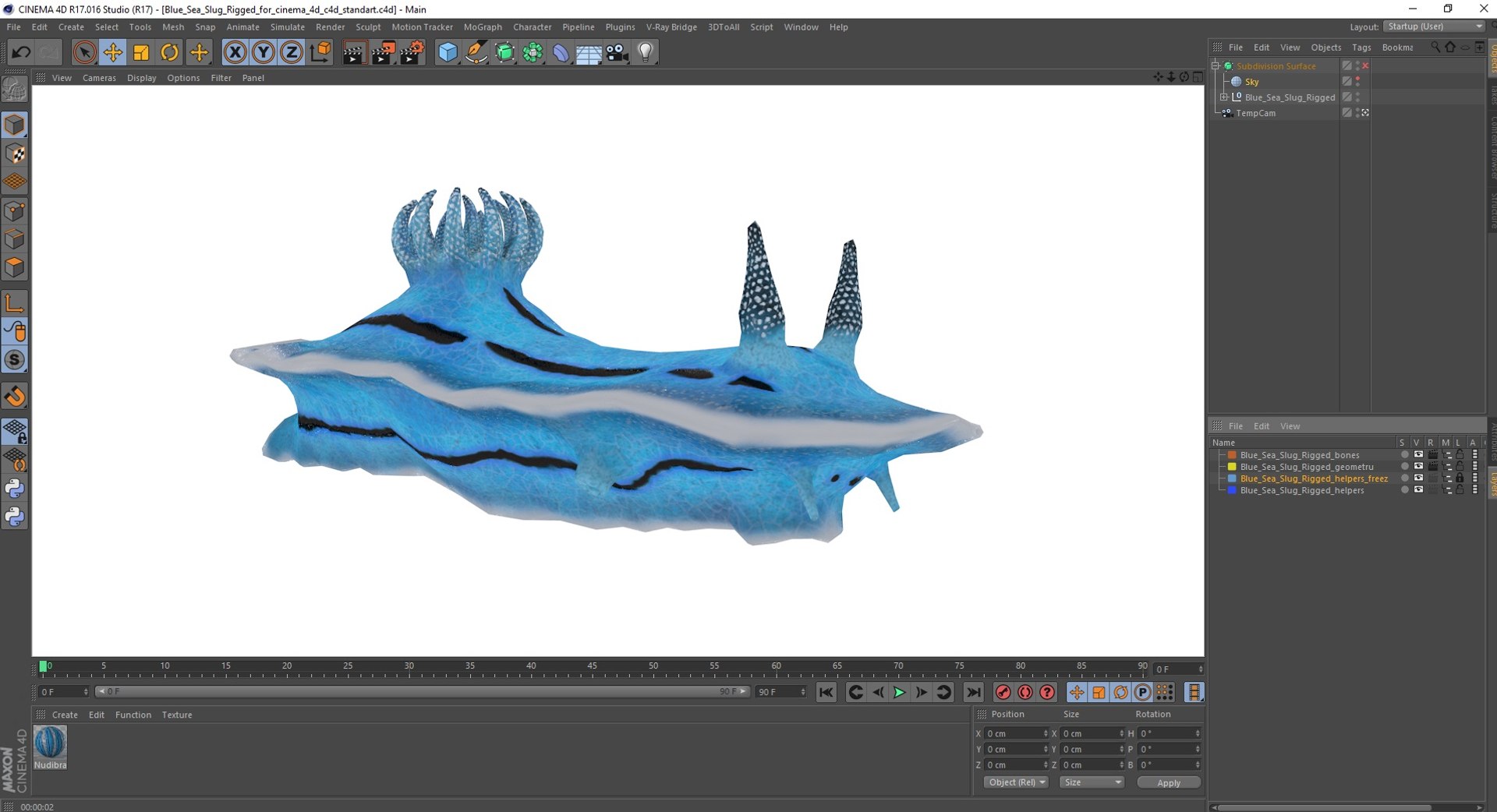 Blue Sea Slug Rigged For Cinema 4D Model - TurboSquid 2207222