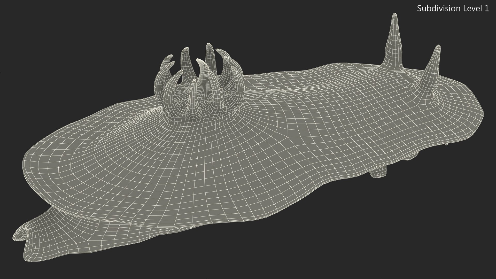 Blue Sea Slug Rigged For Cinema 4D Model - TurboSquid 2207222