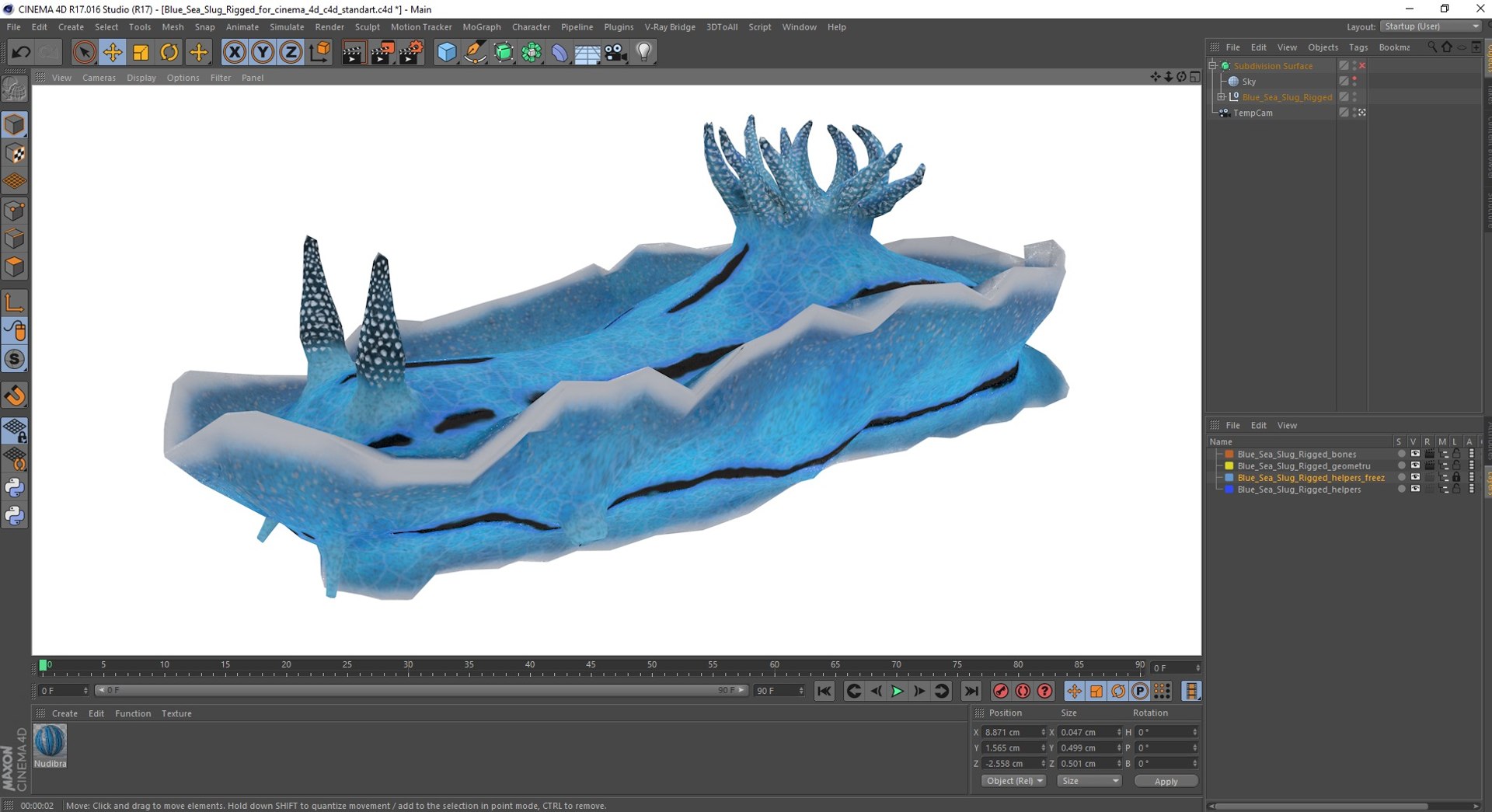 Blue Sea Slug Rigged For Cinema 4D Model - TurboSquid 2207222