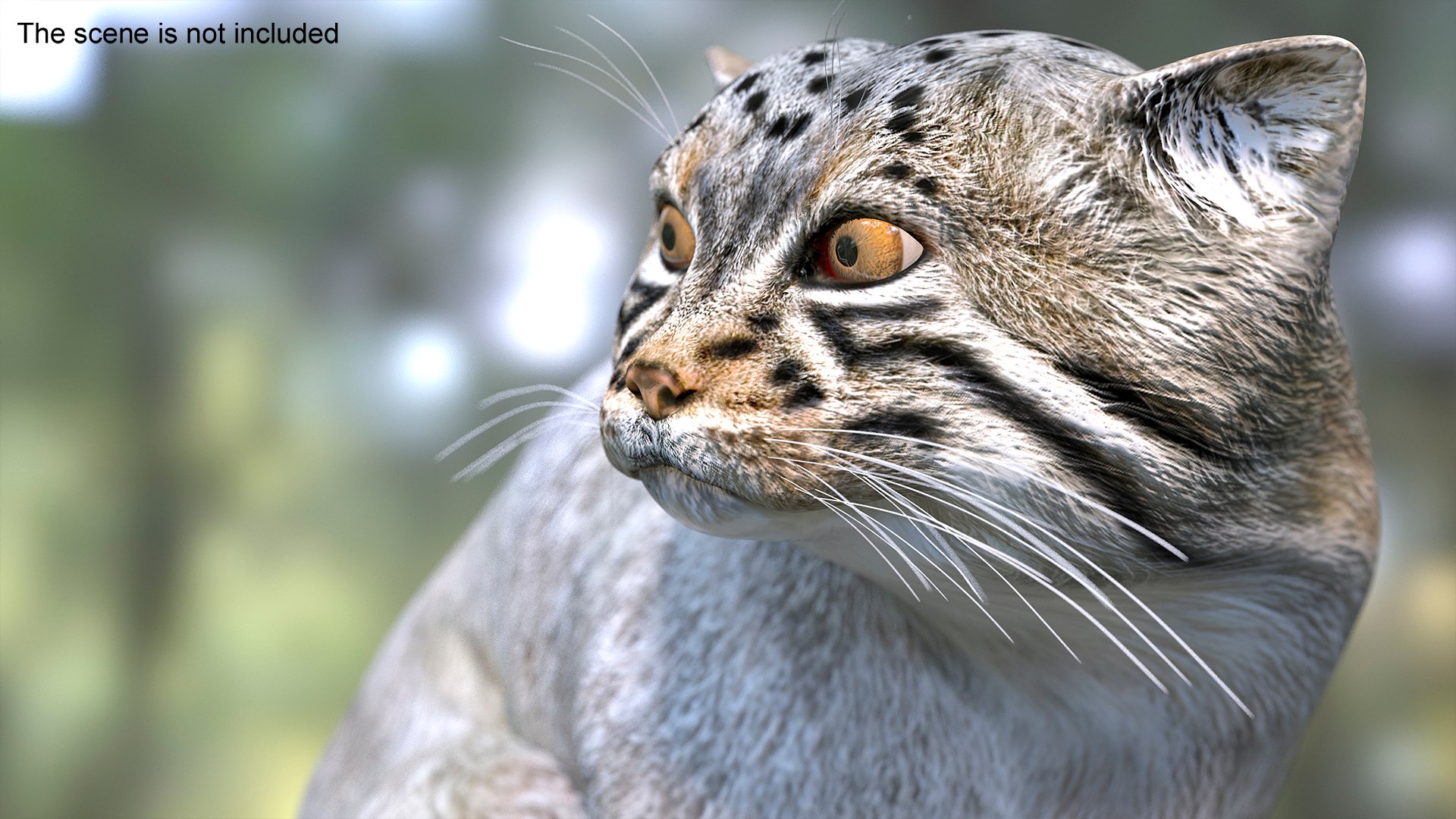 3D Pallas Cat Rigged Model - TurboSquid 2194836