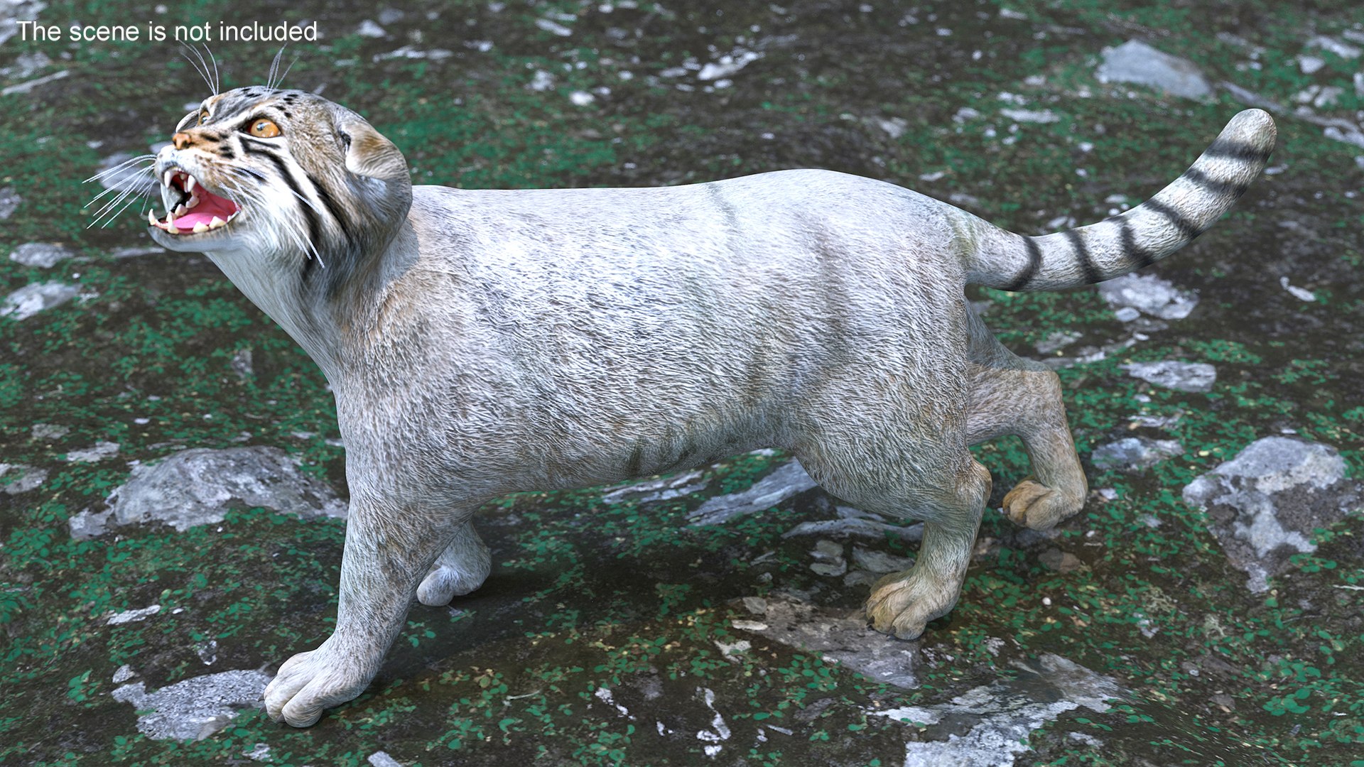 3D Pallas Cat Rigged Model - TurboSquid 2194836