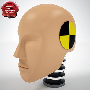 Download Free & Premium Dummy Head 3D Models | TurboSquid