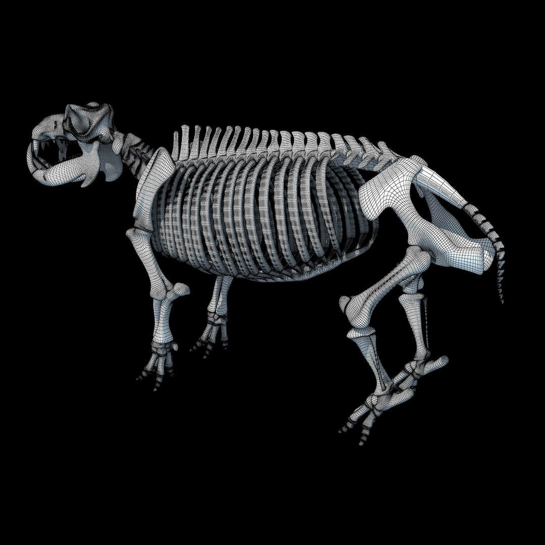 3dsmax hippopotamus river horse skeleton