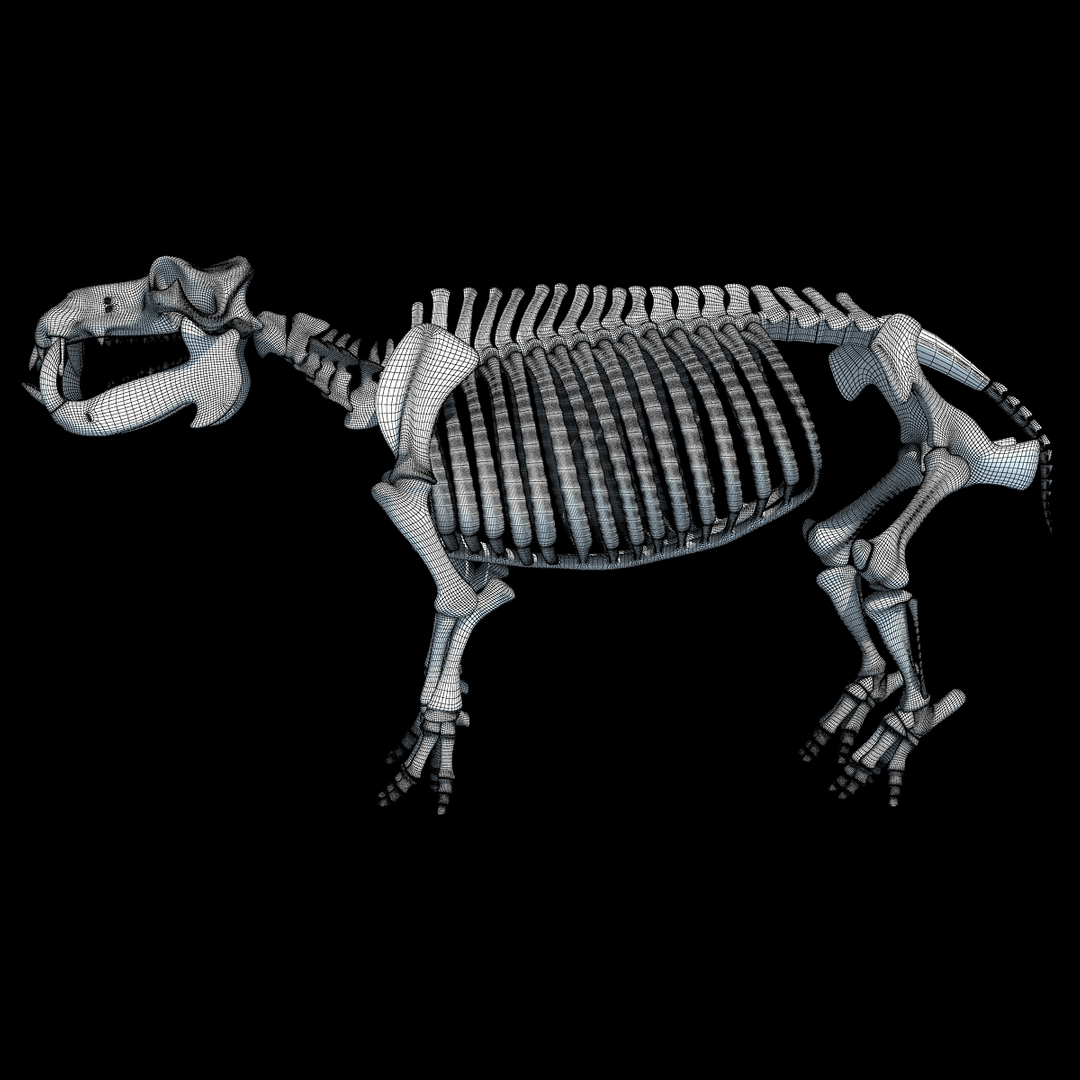 3dsmax hippopotamus river horse skeleton