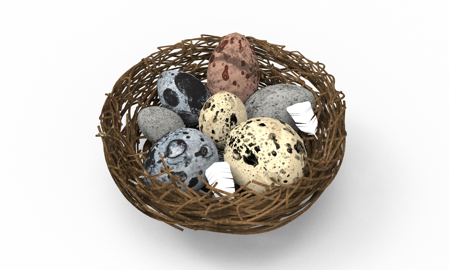 3D Bird Nest 3D - TurboSquid 1852275