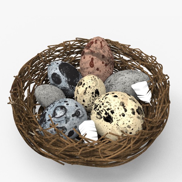 3D Bird Nest 3D - TurboSquid 1852275
