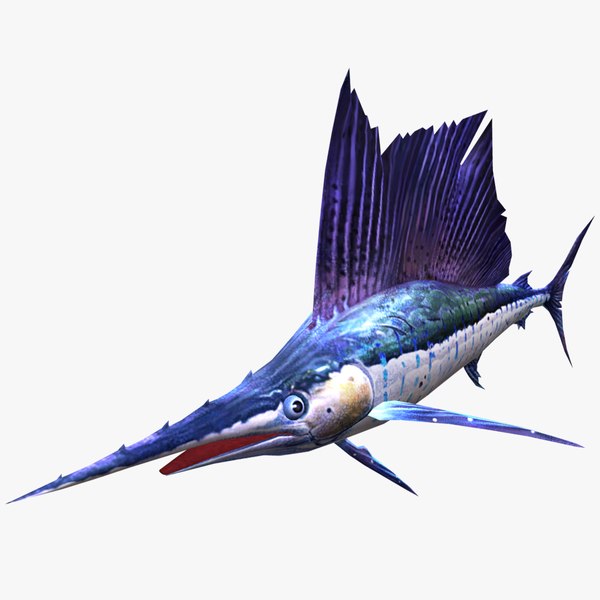 modelo 3d animated sailfish billfish - TurboSquid 2054905