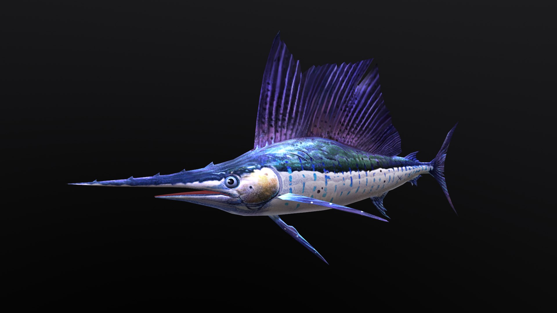 modelo 3d animated sailfish billfish - TurboSquid 2054905