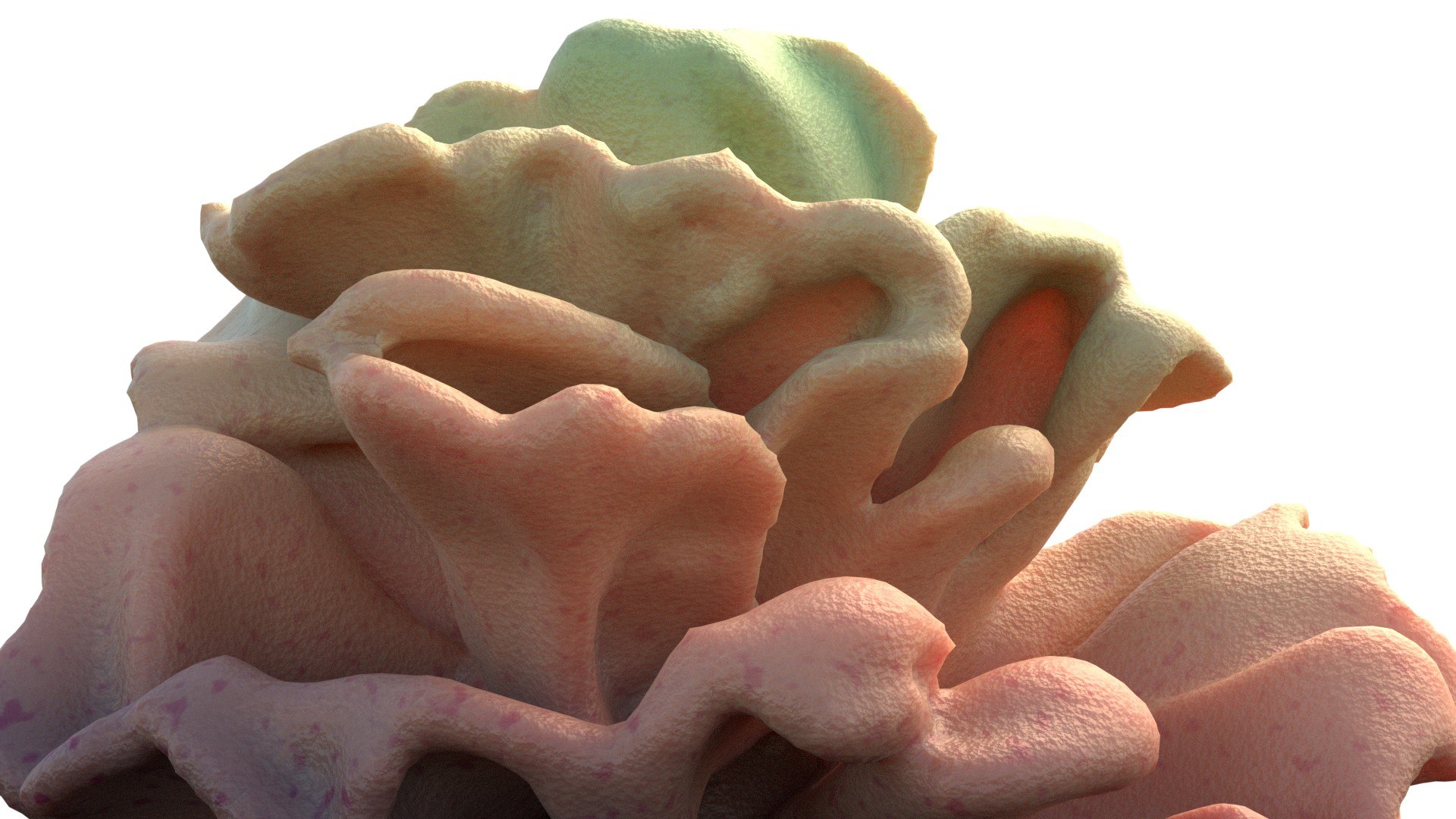 3D Coral Reef V9 - TurboSquid 2370939
