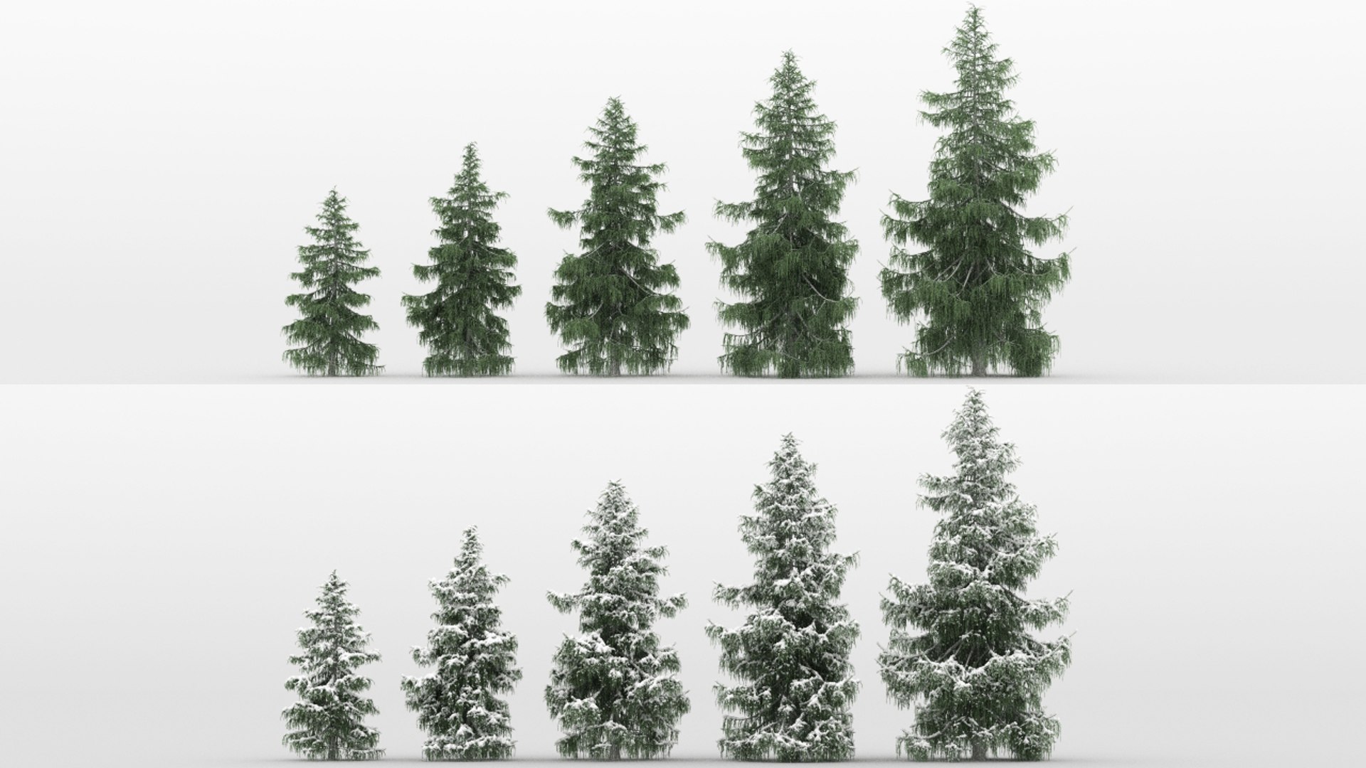 5 Cedar Tree 3D - TurboSquid 1583646