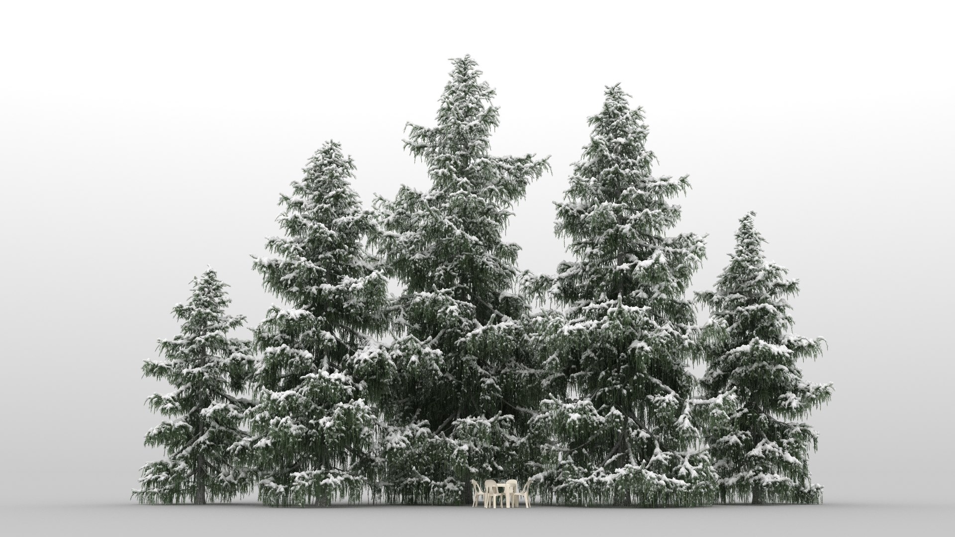 5 Cedar Tree 3D - TurboSquid 1583646